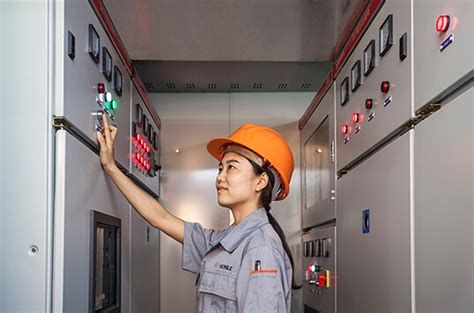 Difference Between Servo Motor Type Avr And Relay Type Avr Honle Group