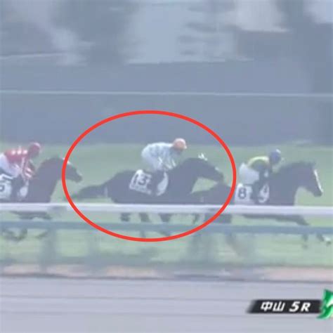 クラリティスケールデビュー戦／3歳馬2頭が中央再転入へ サビねこ厩舎のサウナ生活