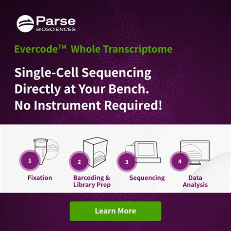 Evercode Whole Transcriptome Scalable Single Cell Sequencing Parse Biosciences Parse