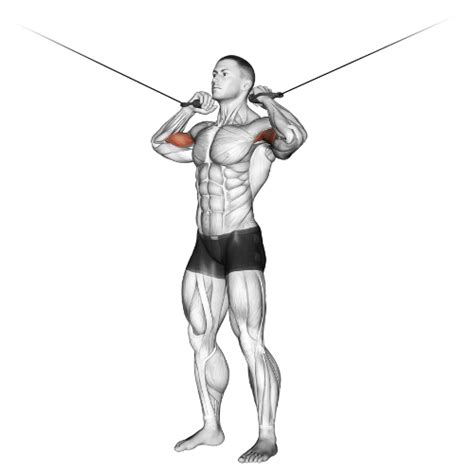 How To Master The Bayesian Curl For Optimal Results 2025