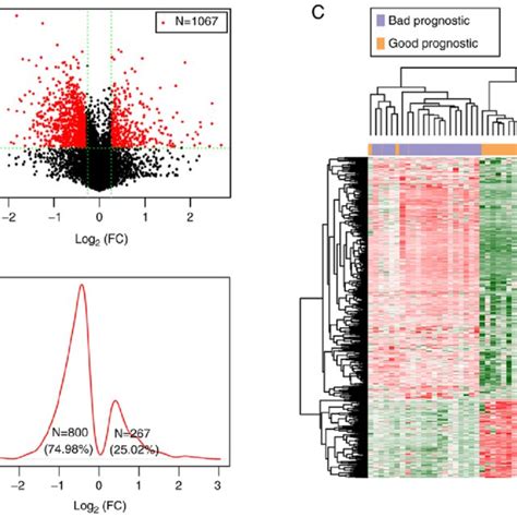 Volcano Plot Density Curve And Cluster Heatmap Of Dmgs A Volcano