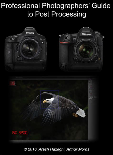 Publication Of The Professional Photographers Guide To Post Processing