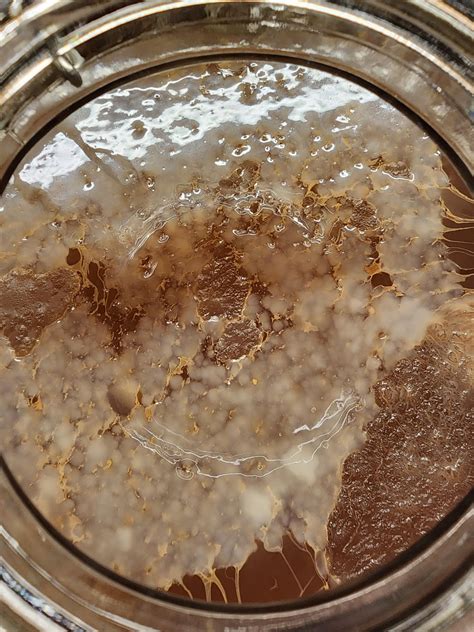 Third Attempt Really Worried That There Is Kahm In This Batch At This