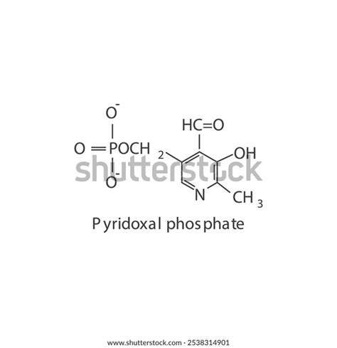 Pyridoxal Phosphate Skeletal Structure Diagramvitamin B6 Stock Vector