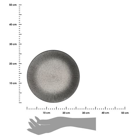 Set 6 Farfurii Vasel 27 Cm Ceramica Gri Antracit Emagro
