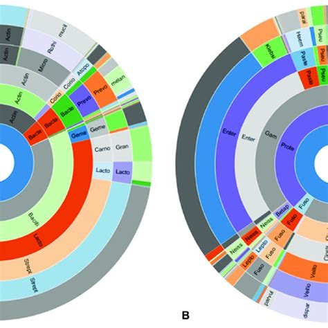 Sunburst Representation Of The Duodenal Microbiome In A Non Sibo N