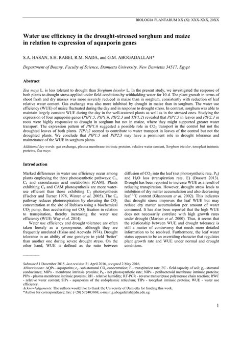 Pdf Water Use Efficiency In The Drought Stressed Sorghum And Maize In Relation To Expression