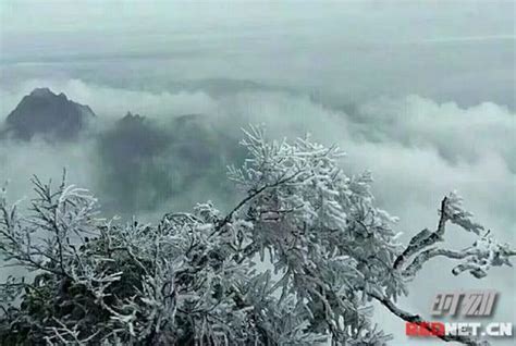 2018年第一场雪来啦湖南各地被雪景刷屏 新浪湖南 新浪网