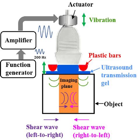 Shear Wave Diagram At Kara Torres Blog