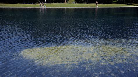 Reflecting Pool Liner Was Cut With A Sharp Knife Or Razor National