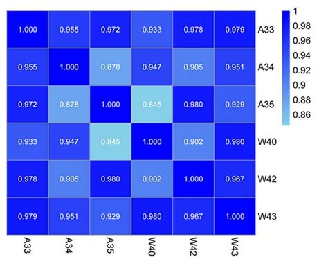 Heatmap Of The Correlation Between Two Pairs Based On Transcript Download Scientific Diagram