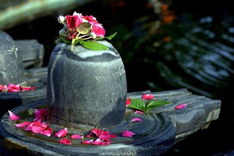 Sawan 2018 Shivratri 2018 Know What Methed To Plugin And How To Offer