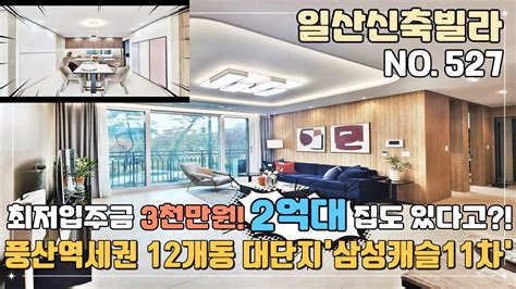 일산신축빌라 풍산역세권 삼성캐슬11차 최저입주금 3천만원~ 몇세대 없는 숨겨진 2억대 집도 있는 풍동신축빌라 잘나가네~ Youtube