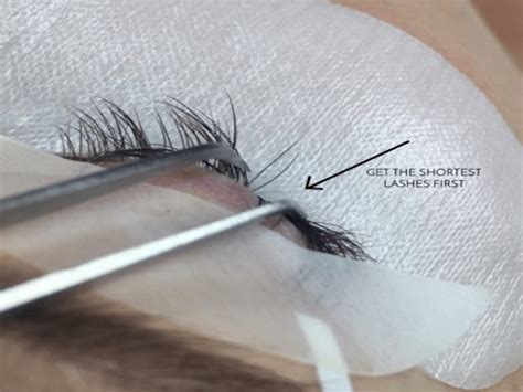 How To Improve Your Lash Isolation Skills In A Short Time
