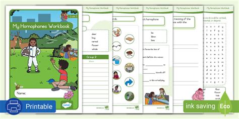 Grade 3 Phonics Homophones Workbook Teacher Made Twinkl
