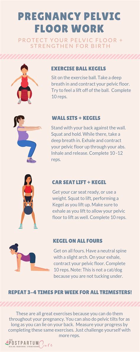 Pelvic Floor Exercises Pdf With Pictures