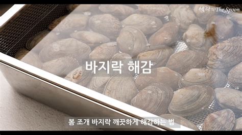 바지락해감 쉽게 해봐요 Youtube