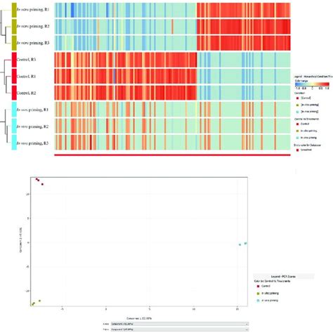 Heat Map And Principal Component Analysis Pca Of The Proteomics Data