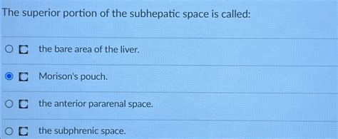 Solved The Superior Portion Of The Subhepatic Space Is