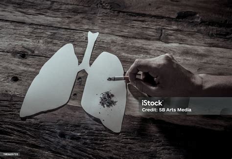담배와 폐암 의료 경고 금연 및 흡연 살인 캠페인의 광고 스타일 사진 재떨이로 폐를 사용하여 연소 담배와 손의 개념 적 이미지 0명에 대한 스톡 사진 및 기타 이미지