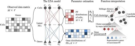 Overview Of The Workf Low Of The Lda Based Method Without Explicit Download Scientific Diagram