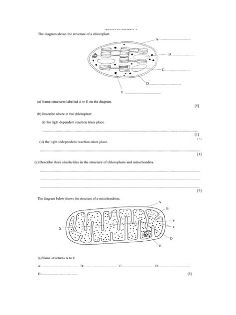 Assignment Cell Structure Pdf