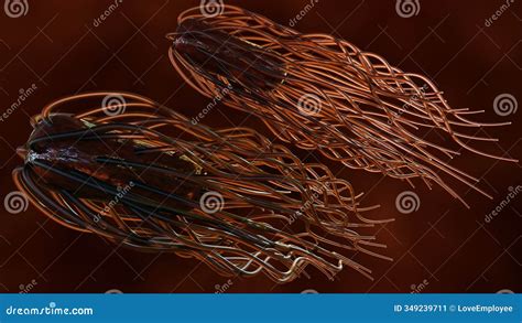 3d Rendering Of Isolated Proteus Mirabilis Bacterial Cells Stock Illustration Illustration Of