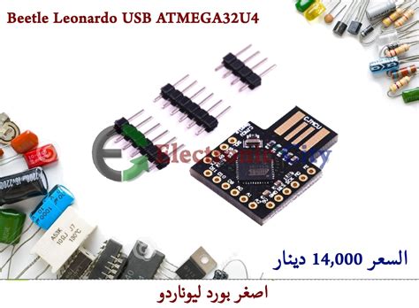 Beetle Leonardo Usb Atmega32u4 U12 12229 Electronic City المدينة