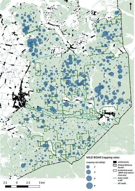 Linking Spatial Patterns Of Terrestrial Herbivore Community Structure To Trophic Interactions
