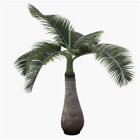 Palm Tree 3d Model Download Free 3d Models