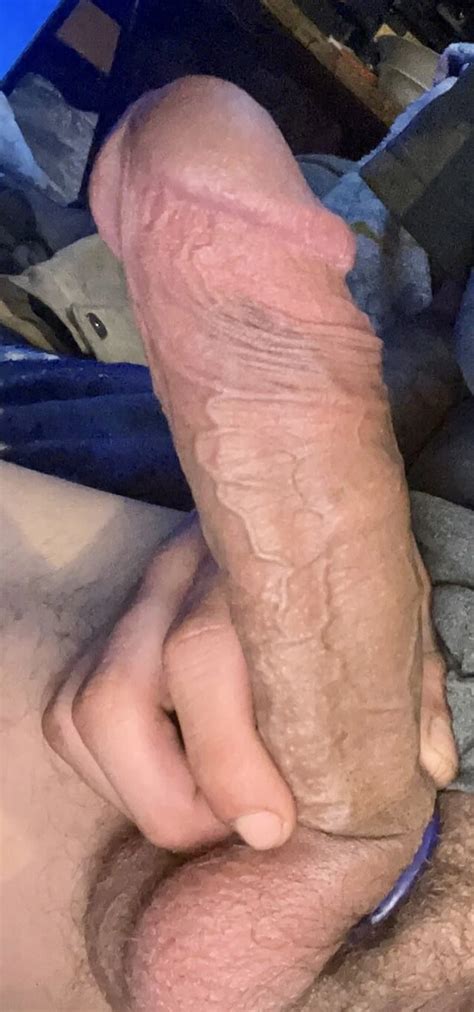 The Bwc Nude Pics Xhamster