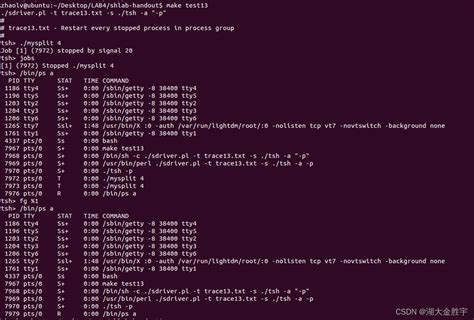 Csapp Shell Lab学会编译tshc调用tsh文件tracexxtxt的功能验证方法 1 使用make命令编译t Csdn博客