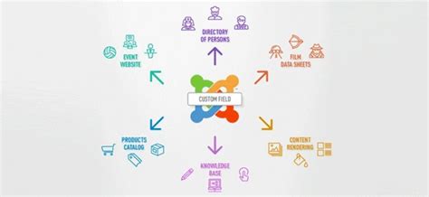 custom fields episode 3 all the parameters one can wish for the