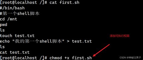[shell编程学习路线]——编制第一个shell脚本入门篇 腾讯云开发者社区 腾讯云