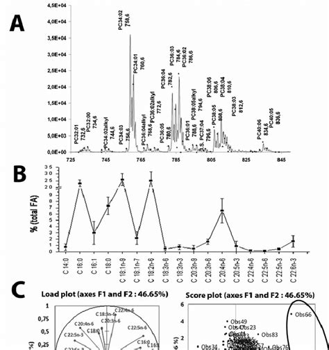 A Identification Of Molecular Species Of Phosphatidylcholine From