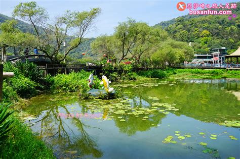 南投景點埔里鯉魚潭有小西湖之稱看湖光山色之美 亞莎崎之旅人足跡