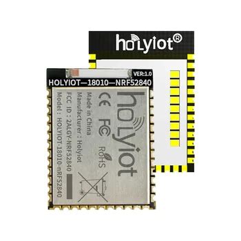 Holyiot Ble Low Energy Ble Mesh Smart Automation Modules Development Board Nordic