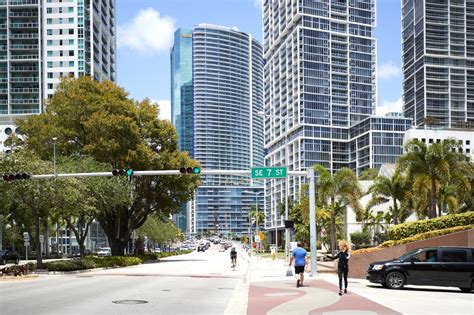 Flowers Miami Brickell At Jamie Spinelli Blog