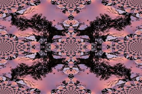 Plant Fractalization Stock Image Image Of Leaves Vegetation 300463559