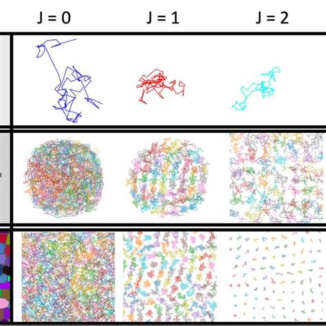 Potts Simulations Of Single Cells Aggregates And Monolayers For A Download Scientific Diagram