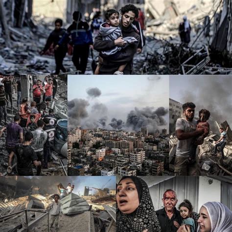 Asmaa Abdo On Linkedin Freepalestine Palestinegenocide