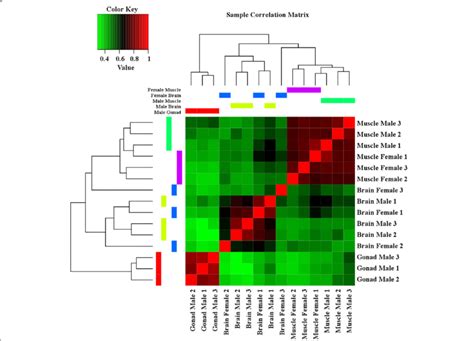 Correlation Matrix Heat Map Of Transcript Expression Across All Samples Download Scientific