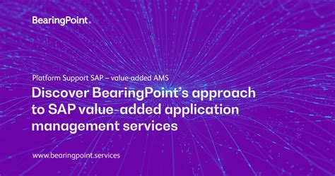 Value Added Sap Ams Bearingpoint Platform Support Sap