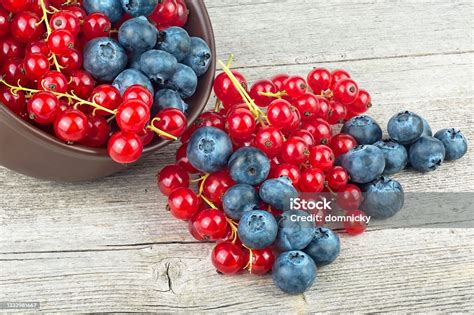 나무 테이블에 점토 그릇에 맛있는 붉은 건포도와 신선한 블루 베리 신선한 열매를 섞습니다 0명에 대한 스톡 사진 및 기타 이미지 Istock