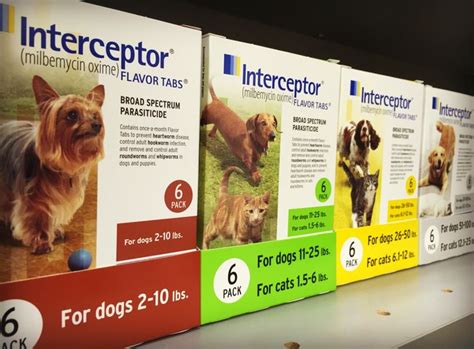 Save 10 On 12 Months Of Heartworm Preventative