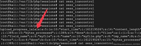 Php文件包含漏洞总结 Csdn博客