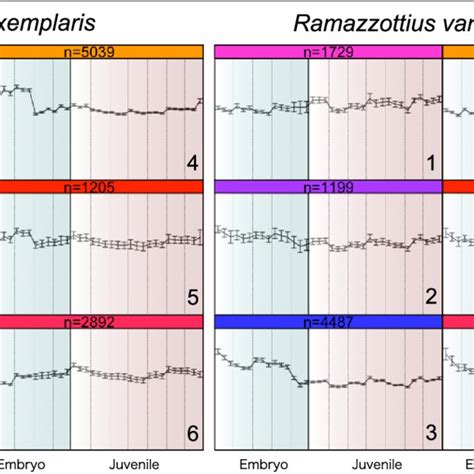 Som Clustering Of Gene Expression Profiles During Development Som