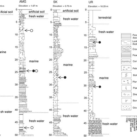 Columns Showing Sedimentary Facies Depositional Environments And Download Scientific Diagram