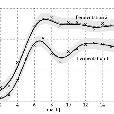 Simulated Output Model Structure Of Proposed Biomass Estimator From Di Download Scientific
