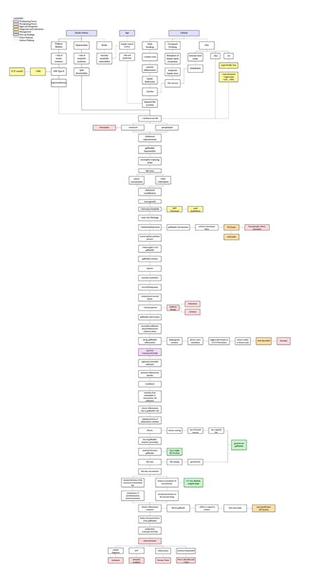 Pathophysiology Of Chronic Cholecystitis Factors Symptoms